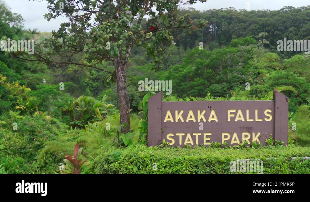 Akaka falls state park Stock Videos & Footage - HD and 4K Video Clips ...