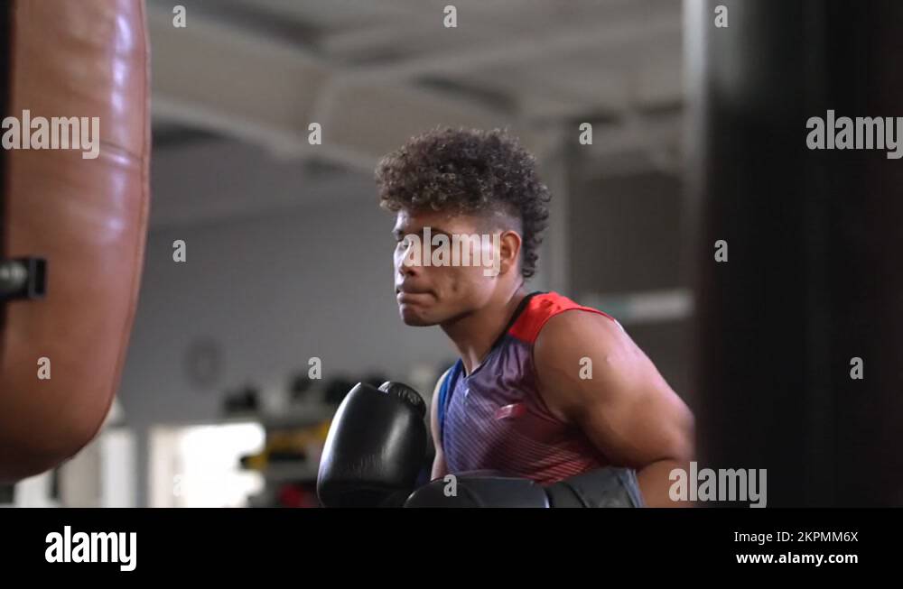 Boxer attack Stock Videos & Footage - HD and 4K Video Clips - Alamy