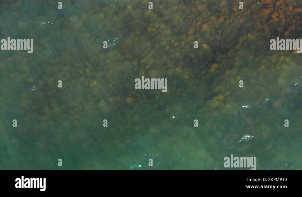 Seabed hydrosphere Stock Videos & Footage - HD and 4K Video Clips - Alamy