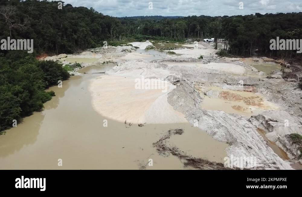 Mining birds Stock Videos & Footage - HD and 4K Video Clips - Alamy