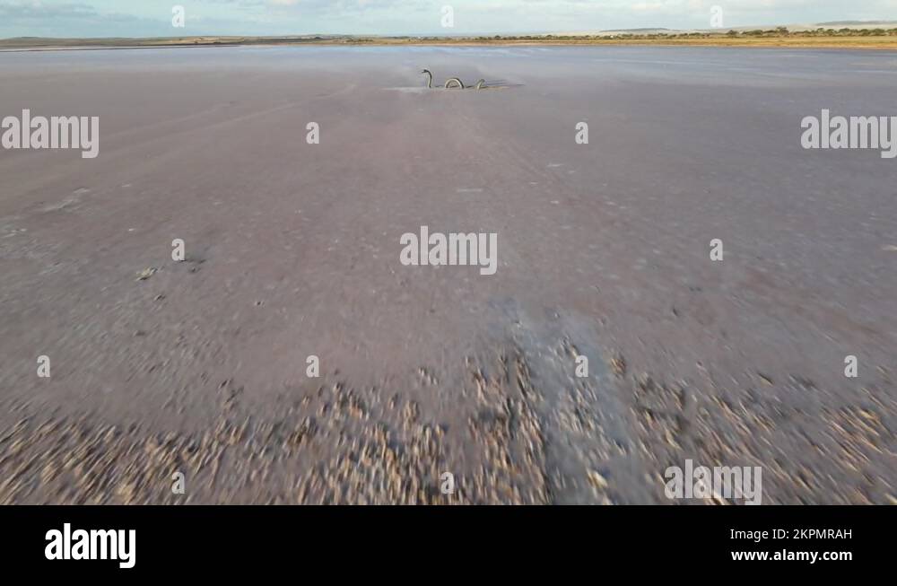 Lake monster statue Stock Videos & Footage - HD and 4K Video Clips - Alamy