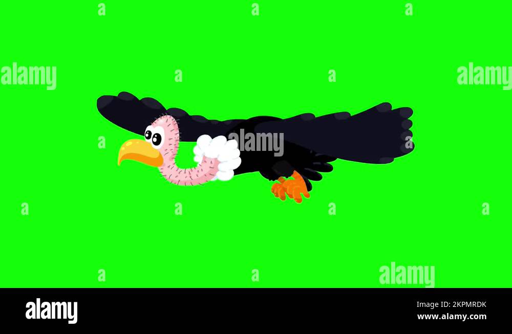 Big bird cartoon Stock Videos & Footage - HD and 4K Video Clips - Alamy