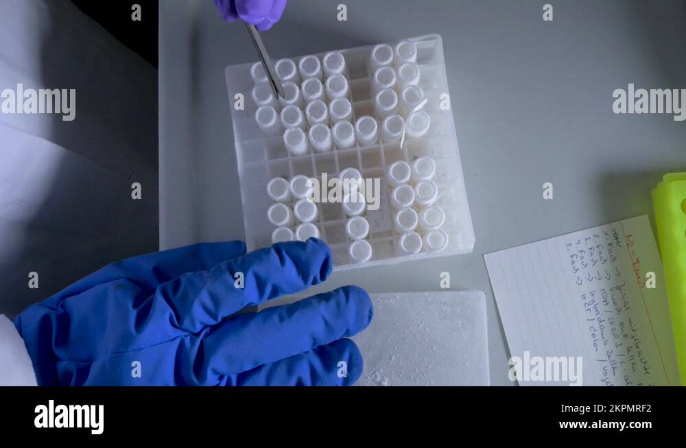 Researcher frozen Stock Videos & Footage - HD and 4K Video Clips - Alamy