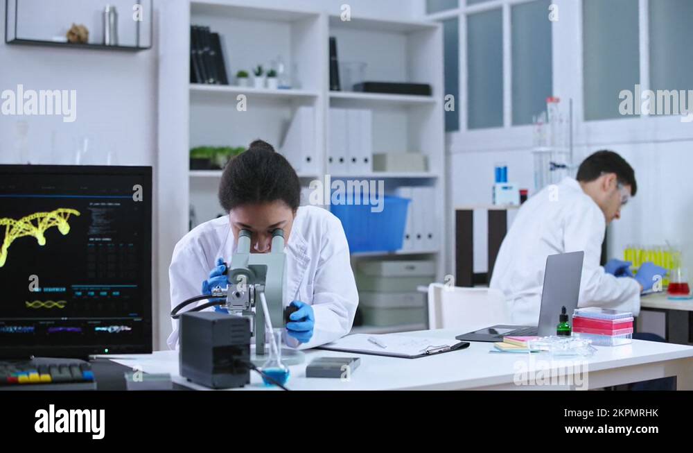 Genetic sequence testing Stock Videos & Footage - HD and 4K Video Clips ...