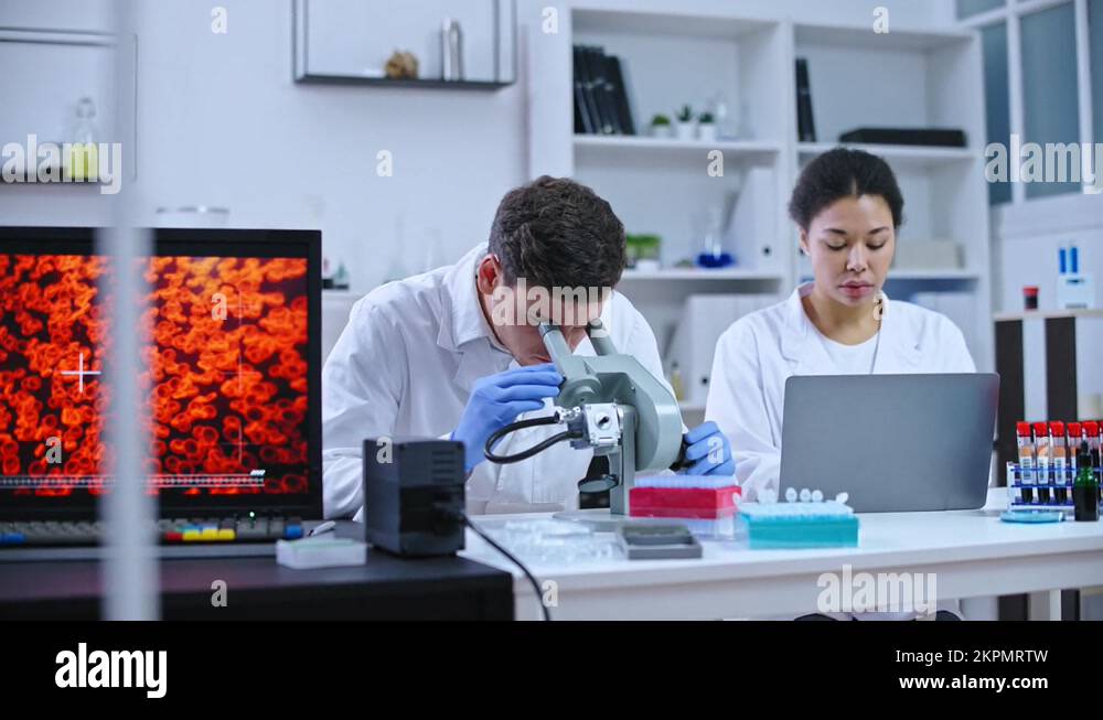 Medical lab workers examining blood sample under microscope, typing ...