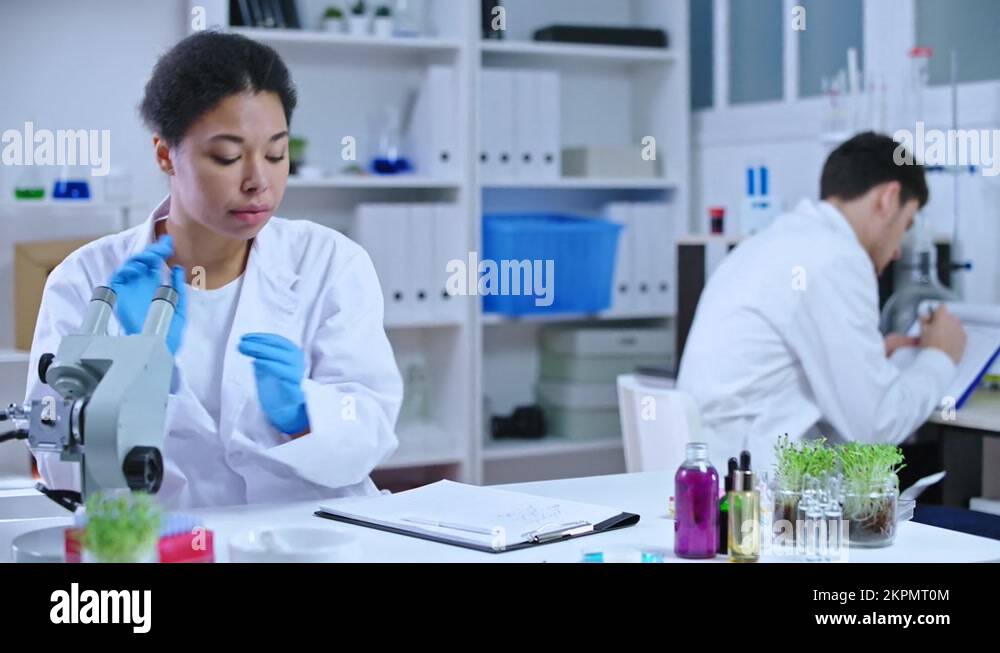 Ingredient laboratory Stock Videos & Footage - HD and 4K Video Clips ...