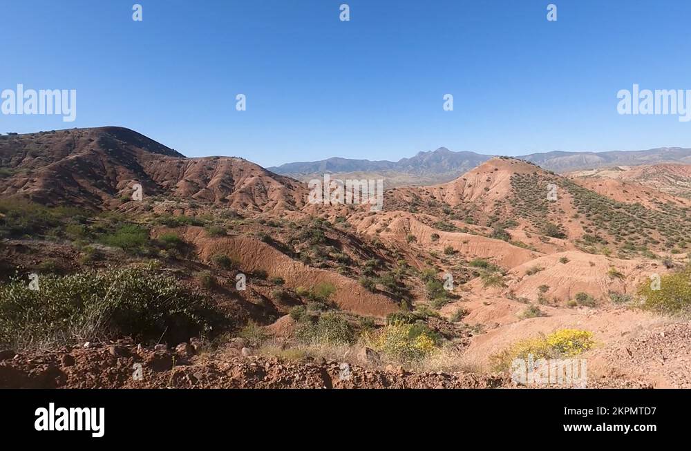 Arizona fauna Stock Videos & Footage - HD and 4K Video Clips - Alamy