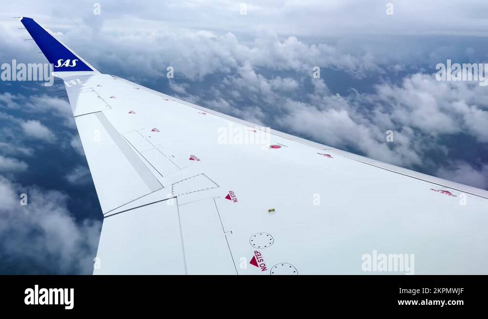 Scandinavian airlines logo Stock Videos & Footage - HD and 4K Video ...