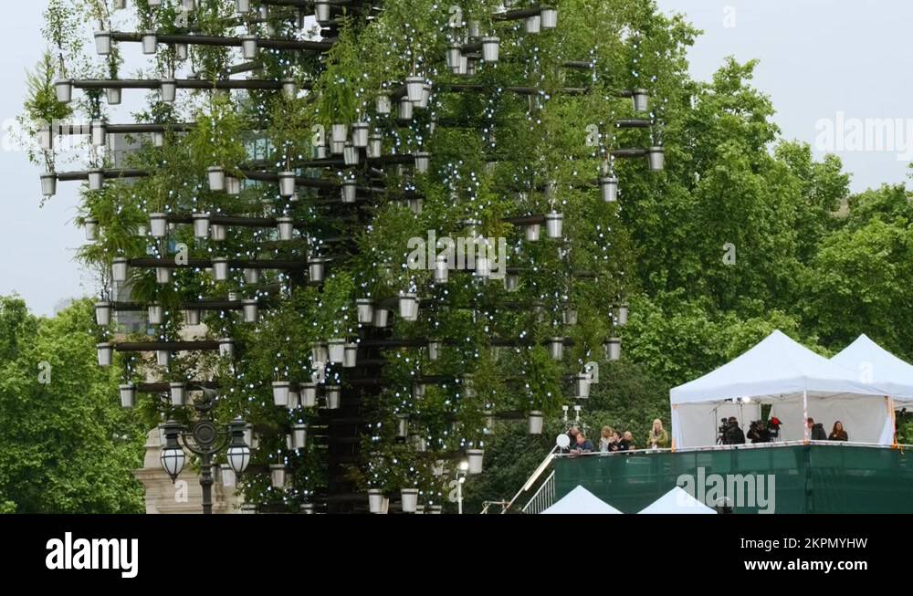 At the celebration of a jubilee of Stock Videos & Footage - HD and 4K ...