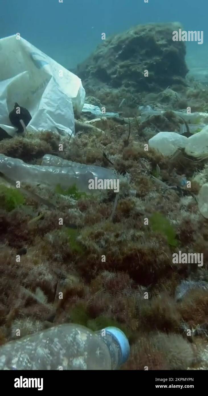 Plastic pollution ocean animals Stock Videos & Footage - HD and 4K ...