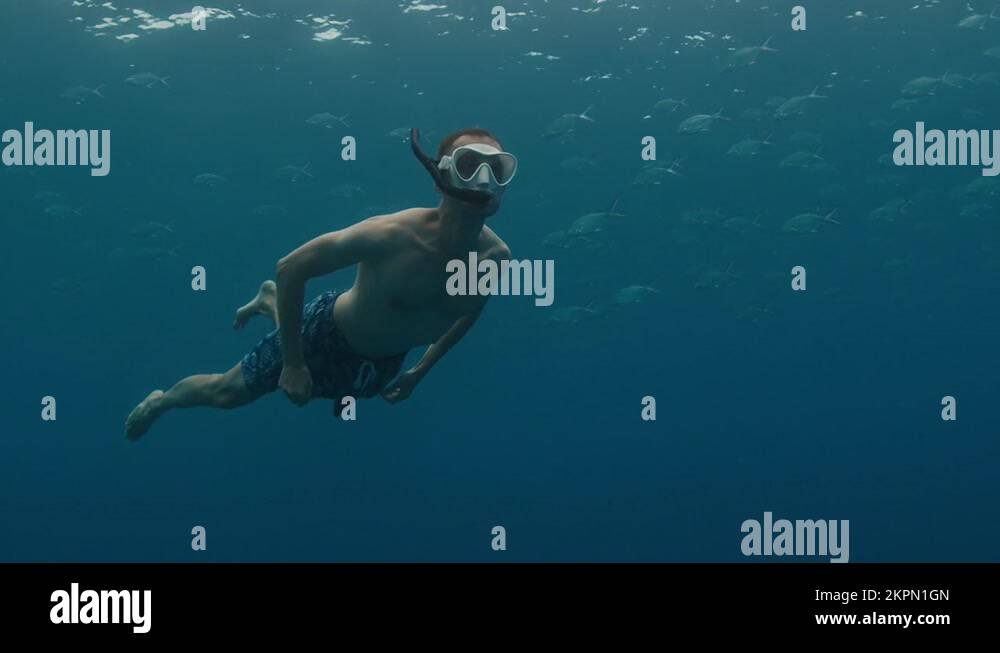 Skin diving. Young fit man dives with mask in the sea and swims ...