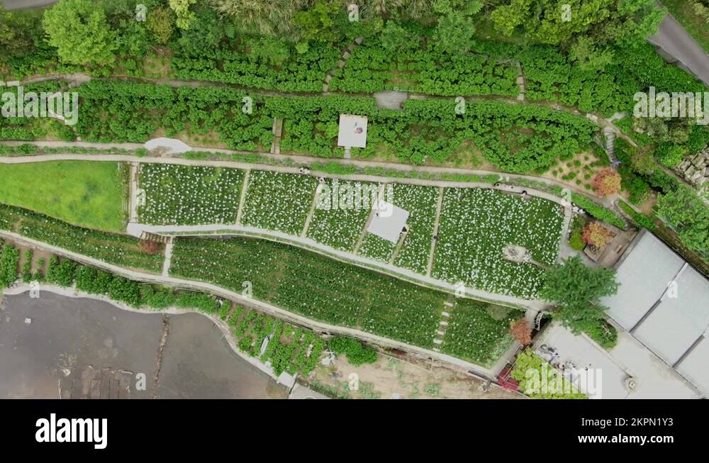 Flower terrace Stock Videos & Footage - HD and 4K Video Clips - Alamy