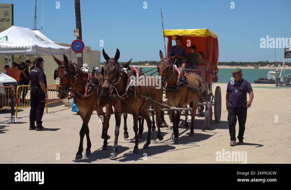 Pilgrimage of El Rocio. People going to village of Almonte Huelva ...