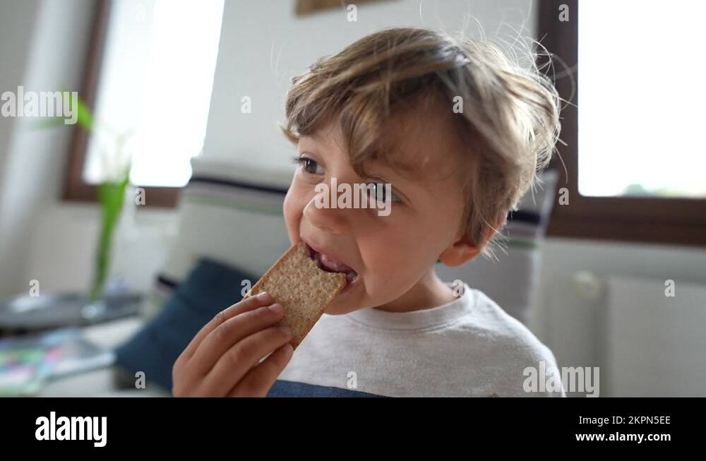 Small boy eating piece of cooke child eats snack Stock Video Footage ...