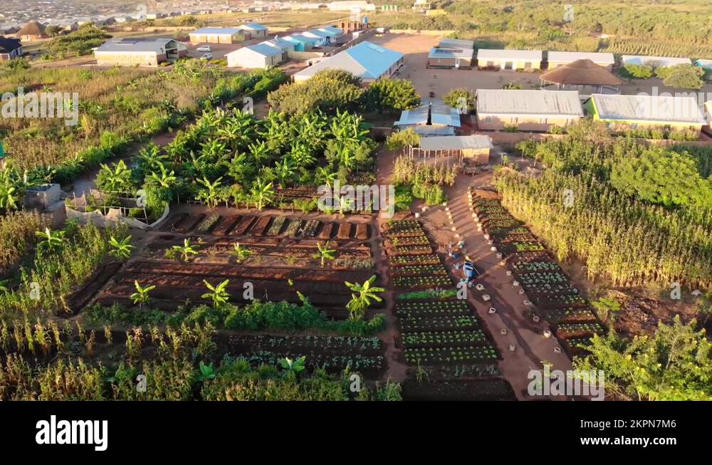 Poor irrigation Stock Videos & Footage - HD and 4K Video Clips - Alamy
