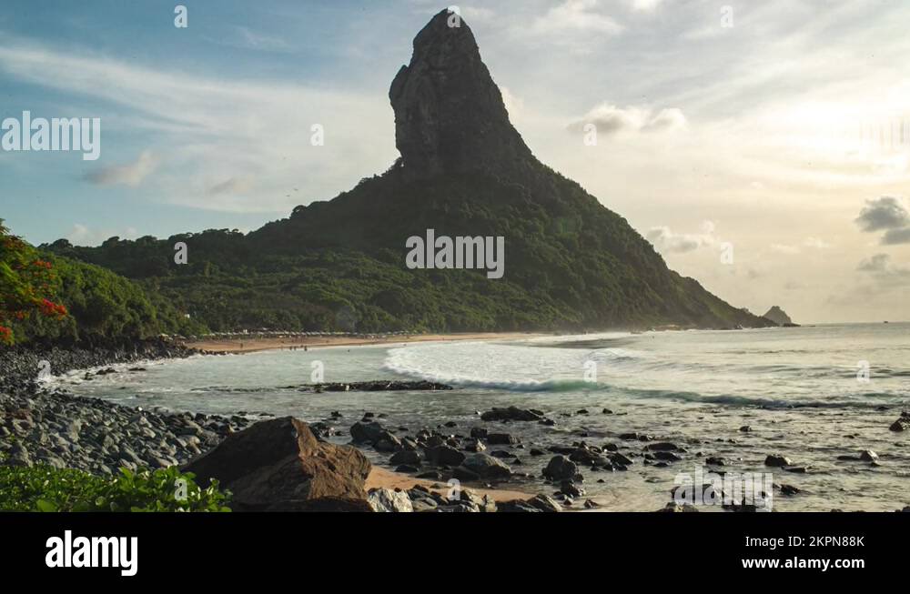Fernando brazil Stock Videos & Footage - HD and 4K Video Clips - Alamy