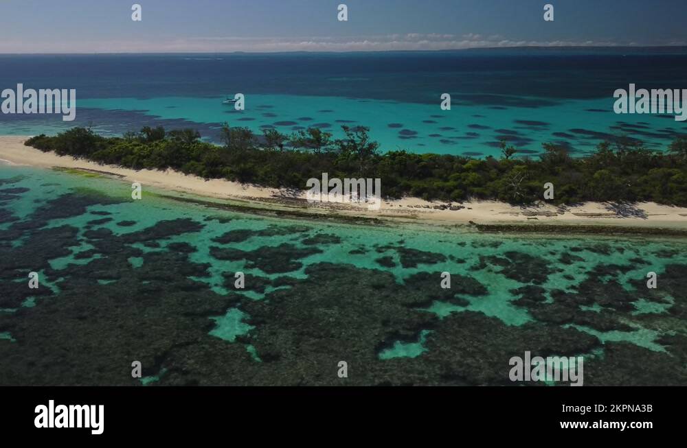 Coral crescent Stock Videos & Footage - HD and 4K Video Clips - Alamy