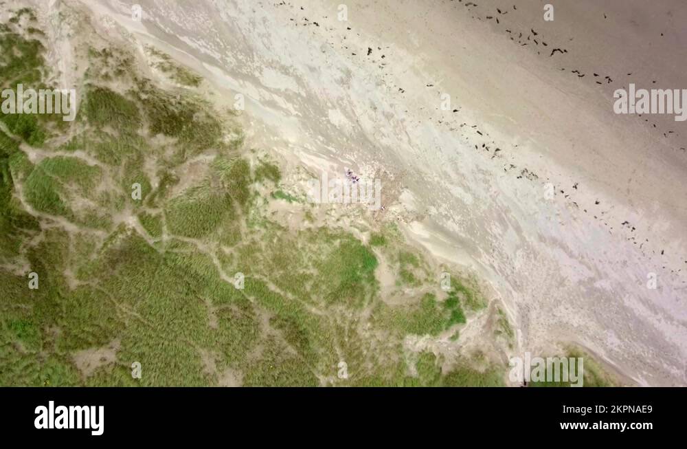 Ariel sands Stock Videos & Footage - HD and 4K Video Clips - Alamy