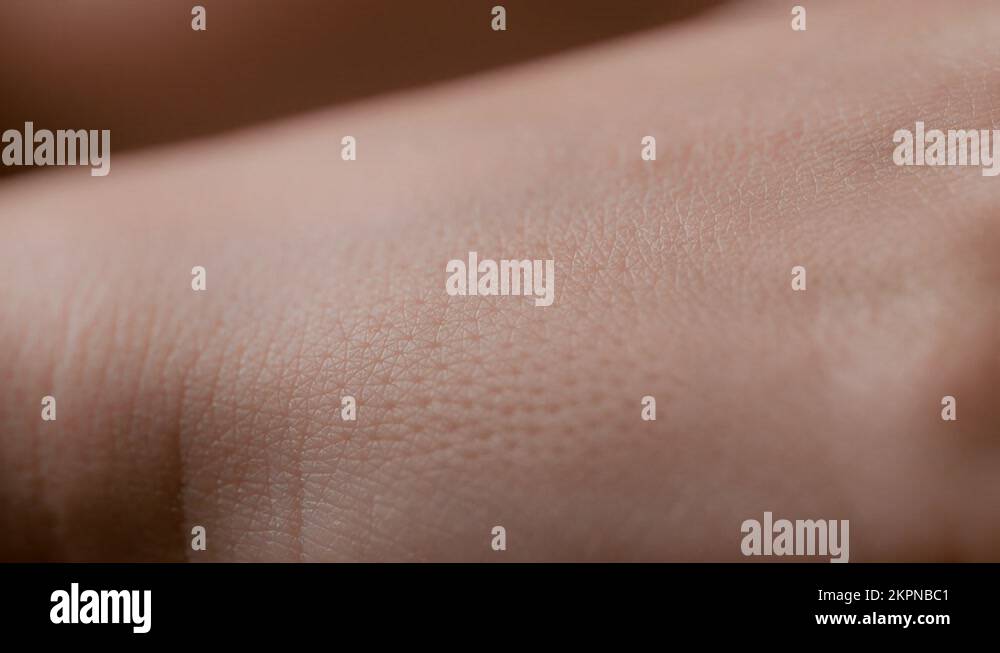 White skin model Stock Videos & Footage - HD and 4K Video Clips - Alamy