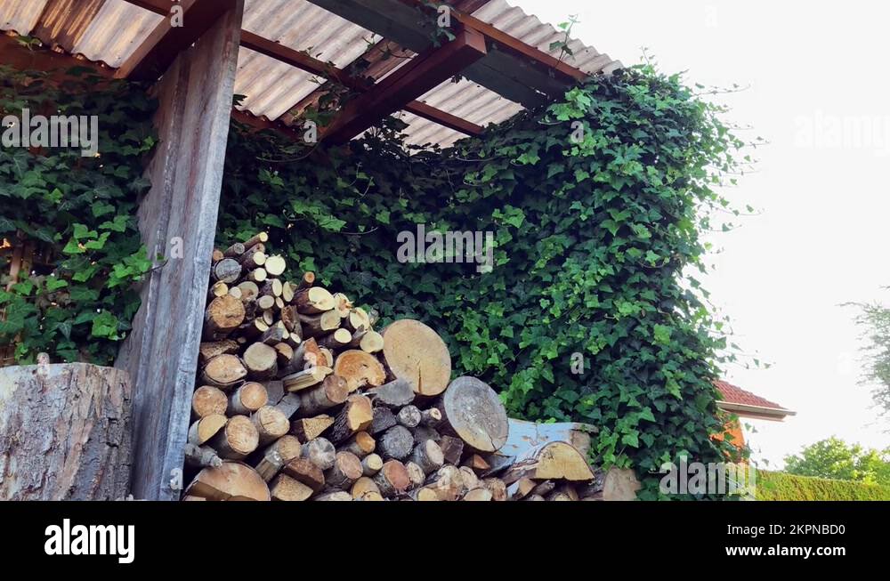 Chopped wood storage Stock Videos & Footage - HD and 4K Video Clips - Alamy