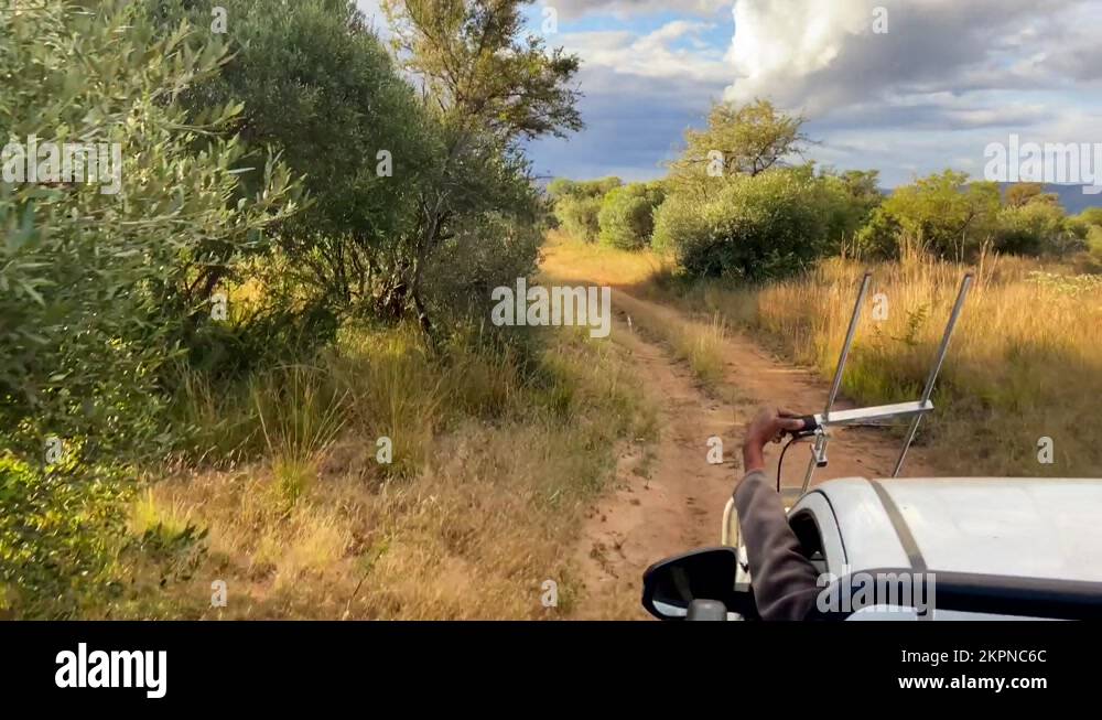 Safari ranger Stock Videos & Footage - HD and 4K Video Clips - Alamy