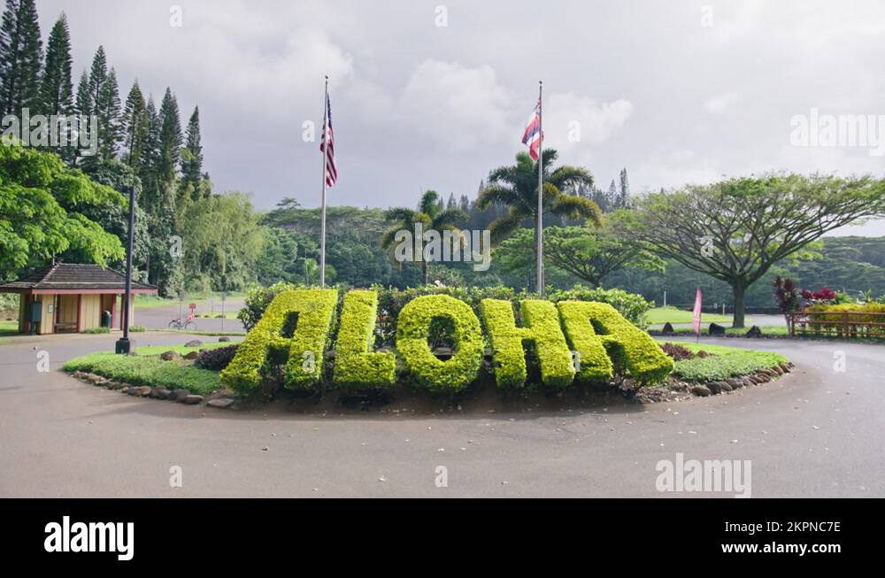 Welcome sign language Stock Videos & Footage - HD and 4K Video Clips ...