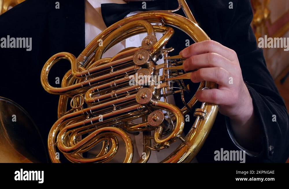 Playing french horn Stock Videos & Footage - HD and 4K Video Clips - Alamy