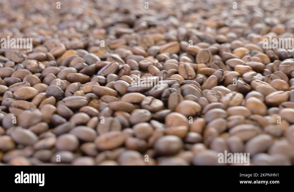 Dried coffee seeds Stock Videos & Footage - HD and 4K Video Clips - Alamy