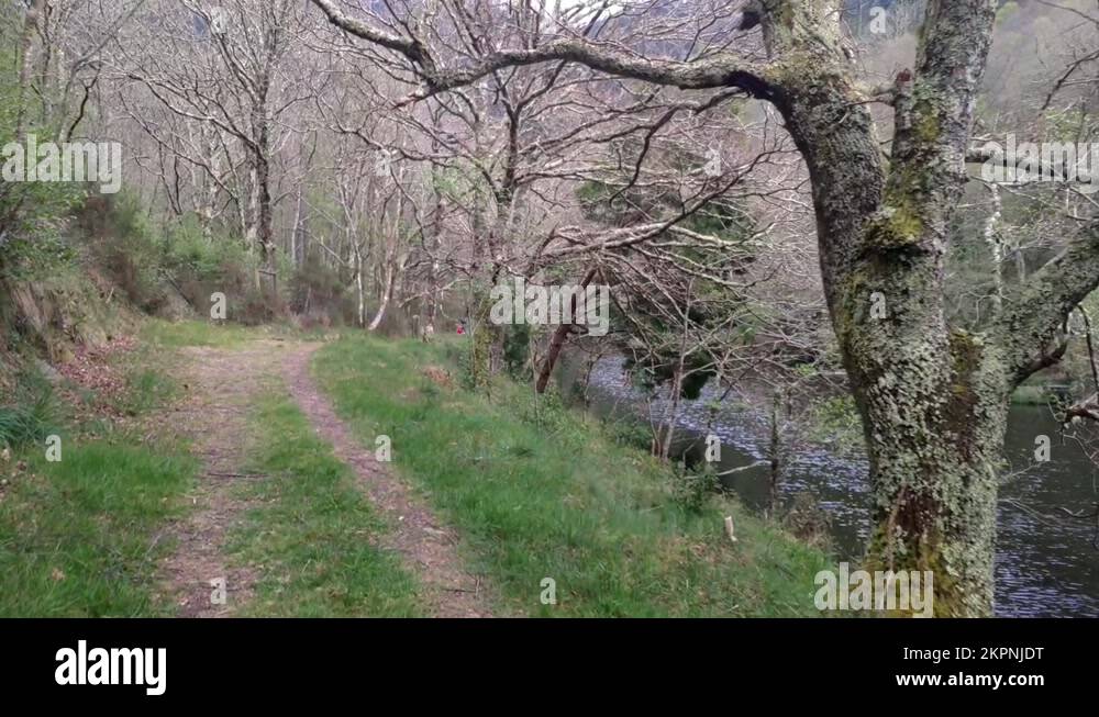 Under oak trees Stock Videos & Footage - HD and 4K Video Clips - Alamy