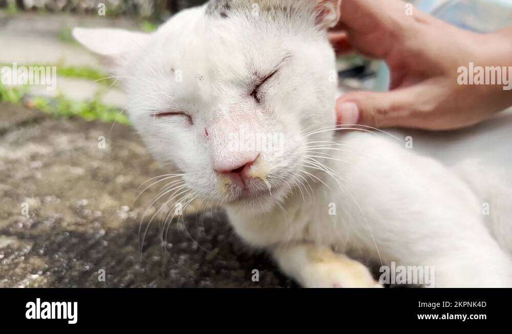 Nose snot Stock Videos & Footage - HD and 4K Video Clips - Alamy