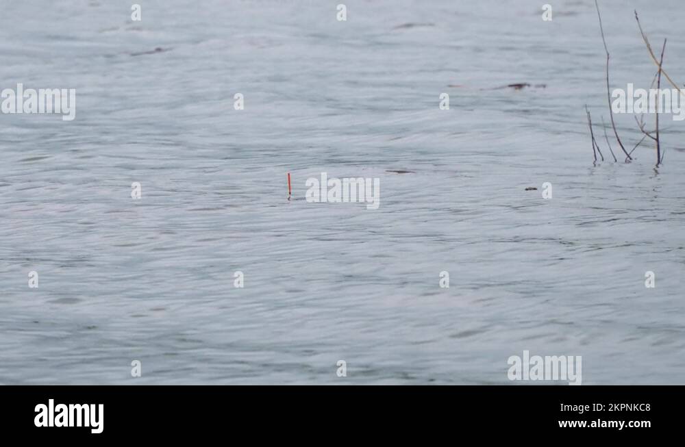 Fishing float waves Stock Videos & Footage - HD and 4K Video Clips - Alamy