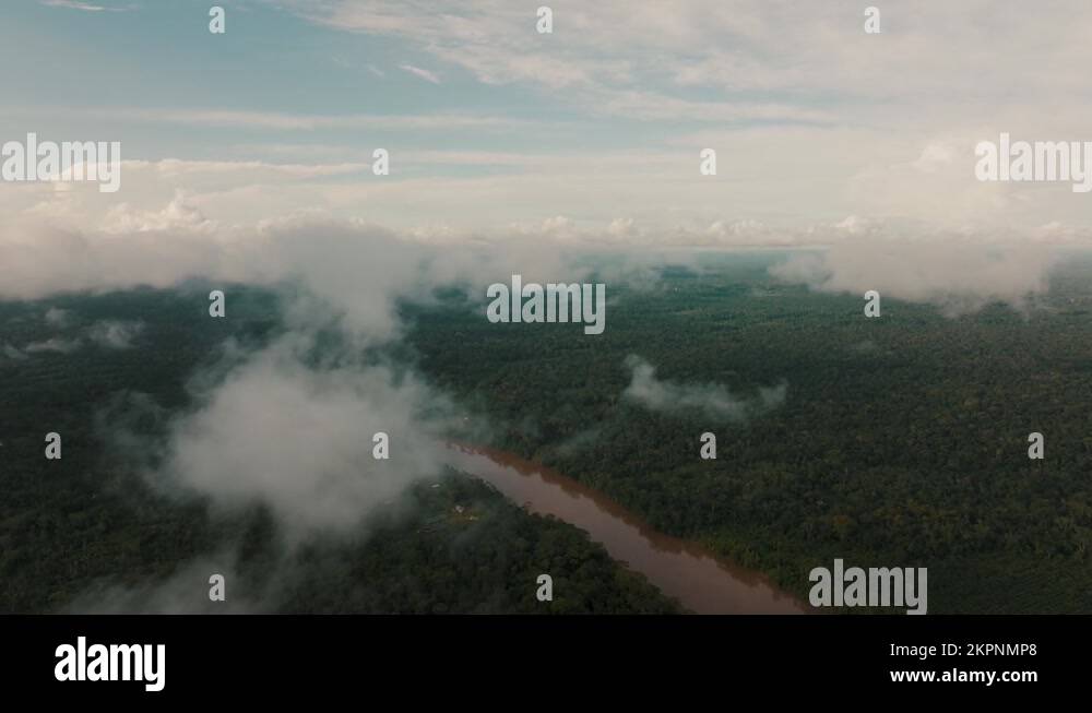 Amazon rainforest clouds Stock Videos & Footage - HD and 4K Video Clips ...