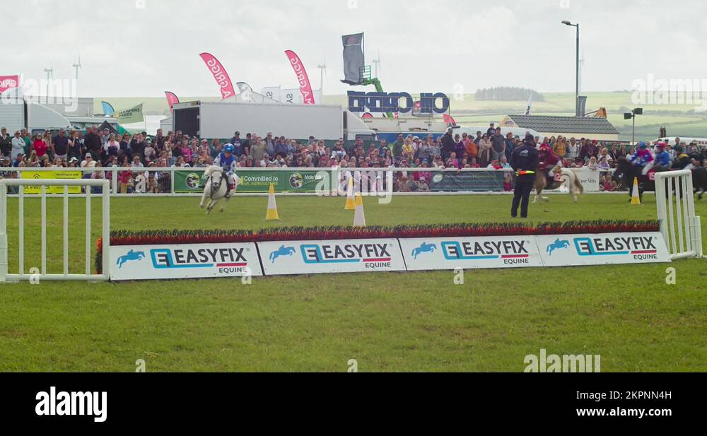 Of champion jockey Stock Videos & Footage - HD and 4K Video Clips - Alamy