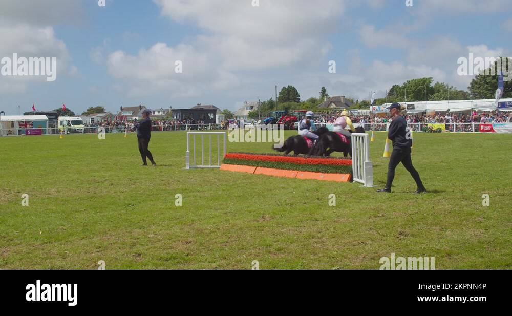 Last hurdle Stock Videos & Footage - HD and 4K Video Clips - Alamy