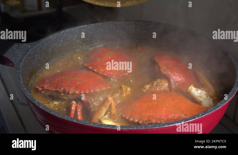 Singapore crab Stock Videos & Footage - HD and 4K Video Clips - Alamy