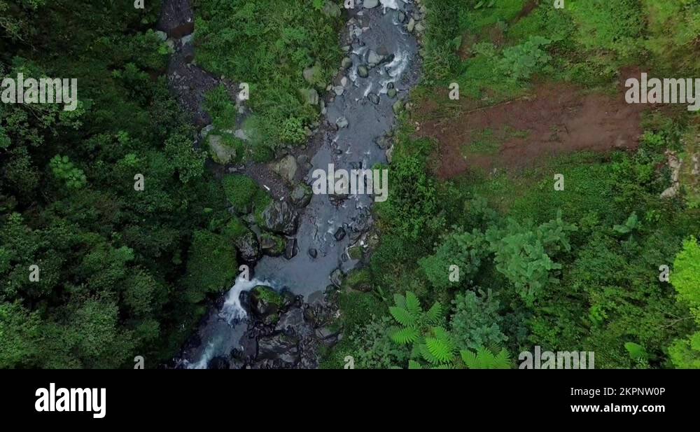 Stream between jungle Stock Videos & Footage - HD and 4K Video Clips ...