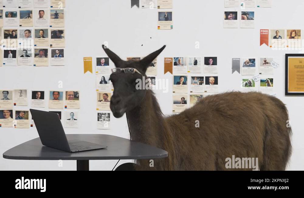 Office table with computer Stock Videos & Footage - HD and 4K Video ...