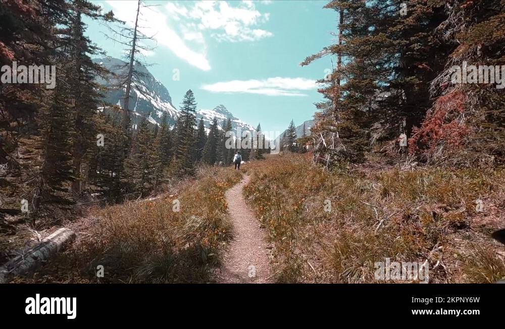 Tranquil pathways Stock Videos & Footage - HD and 4K Video Clips - Alamy