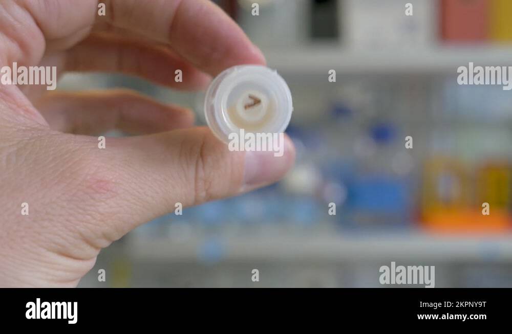 Sample liquid Stock Videos & Footage - HD and 4K Video Clips - Alamy