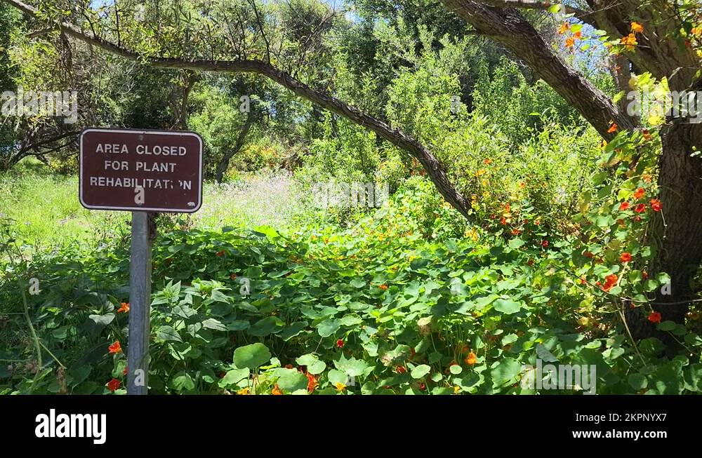 Sign land protected area Stock Videos & Footage - HD and 4K Video Clips ...