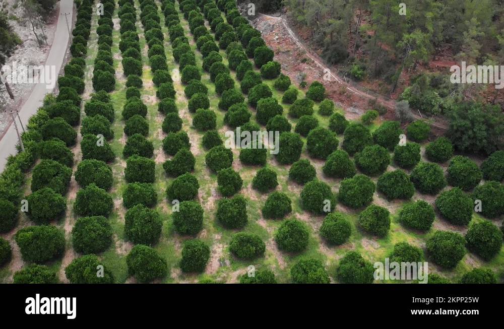 Agro production Stock Videos & Footage - HD and 4K Video Clips - Alamy