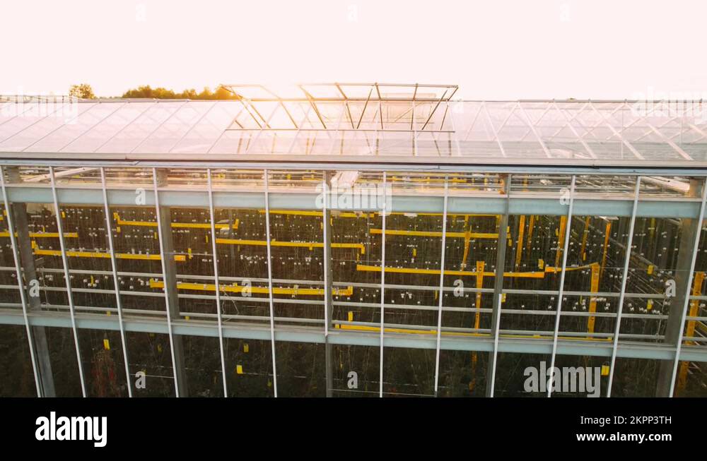 High tech greenhouses Stock Videos & Footage - HD and 4K Video Clips ...