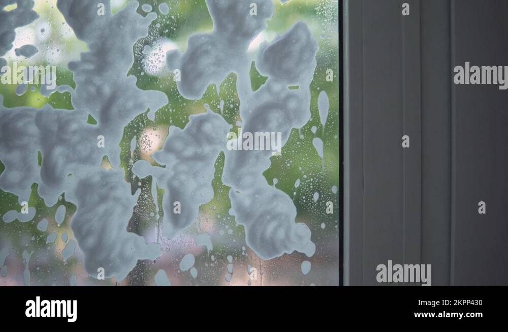 Foam washing Stock Videos & Footage - HD and 4K Video Clips - Alamy