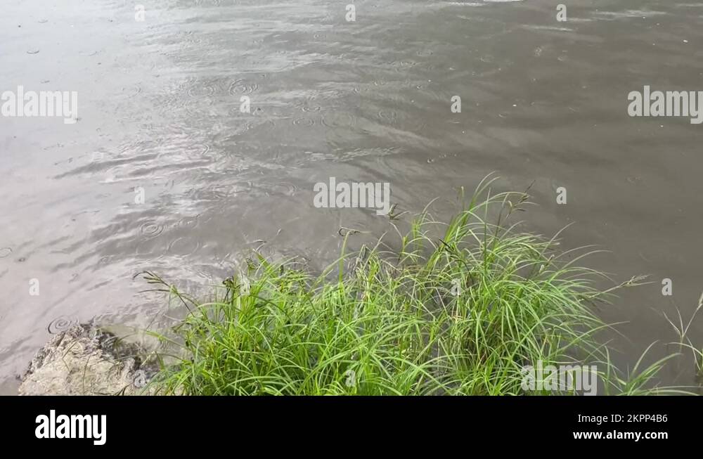 Rain dripping Stock Videos & Footage - HD and 4K Video Clips - Alamy