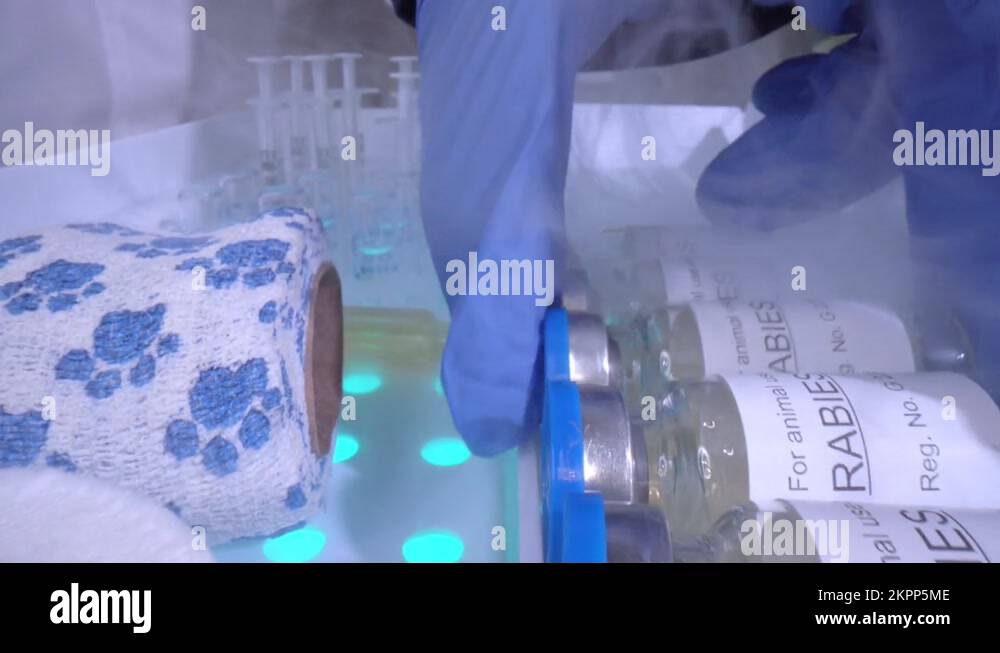Vaccine refrigerator Stock Videos & Footage - HD and 4K Video Clips - Alamy