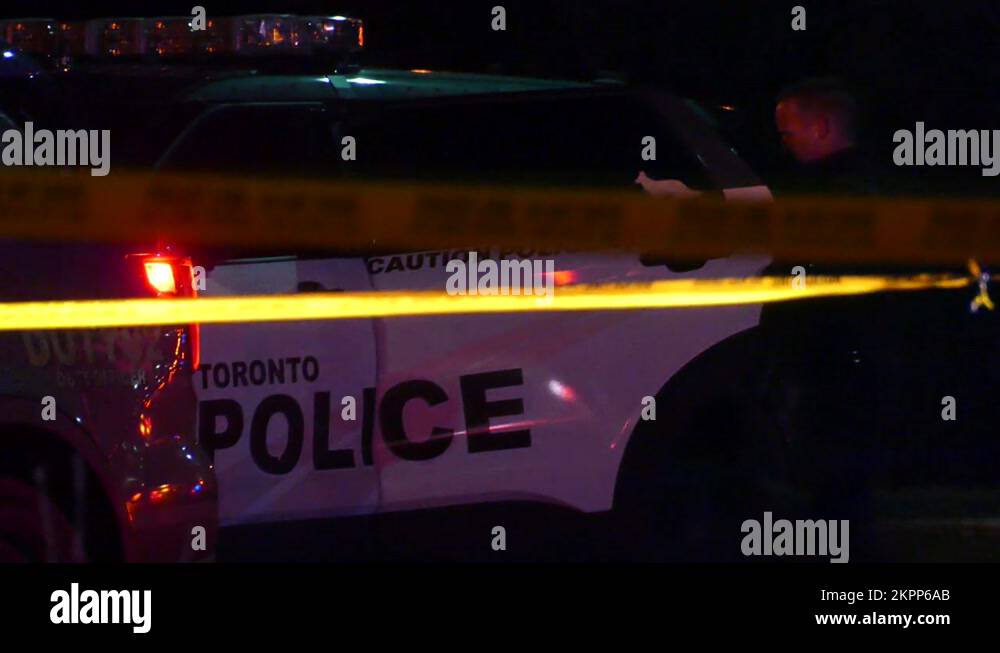 Fight or flight response animal Stock Videos & Footage - HD and 4K ...