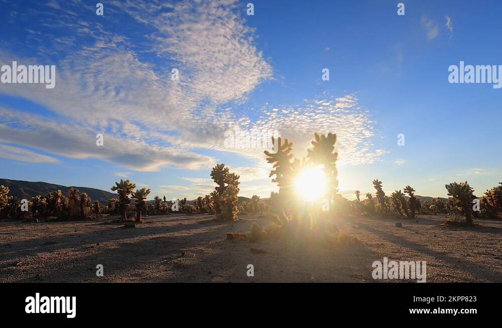 Desert landscape sun Stock Videos & Footage - HD and 4K Video Clips - Alamy