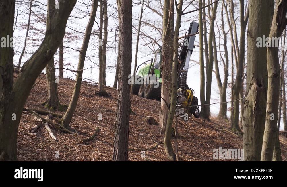 Grabbing tree Stock Videos & Footage - HD and 4K Video Clips - Alamy