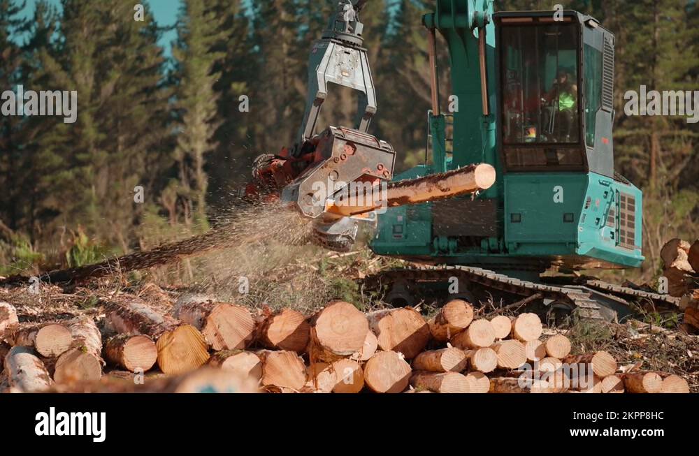 Log trimming Stock Videos & Footage - HD and 4K Video Clips - Alamy