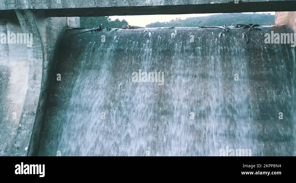 Mula mula Stock Videos & Footage - HD and 4K Video Clips - Alamy